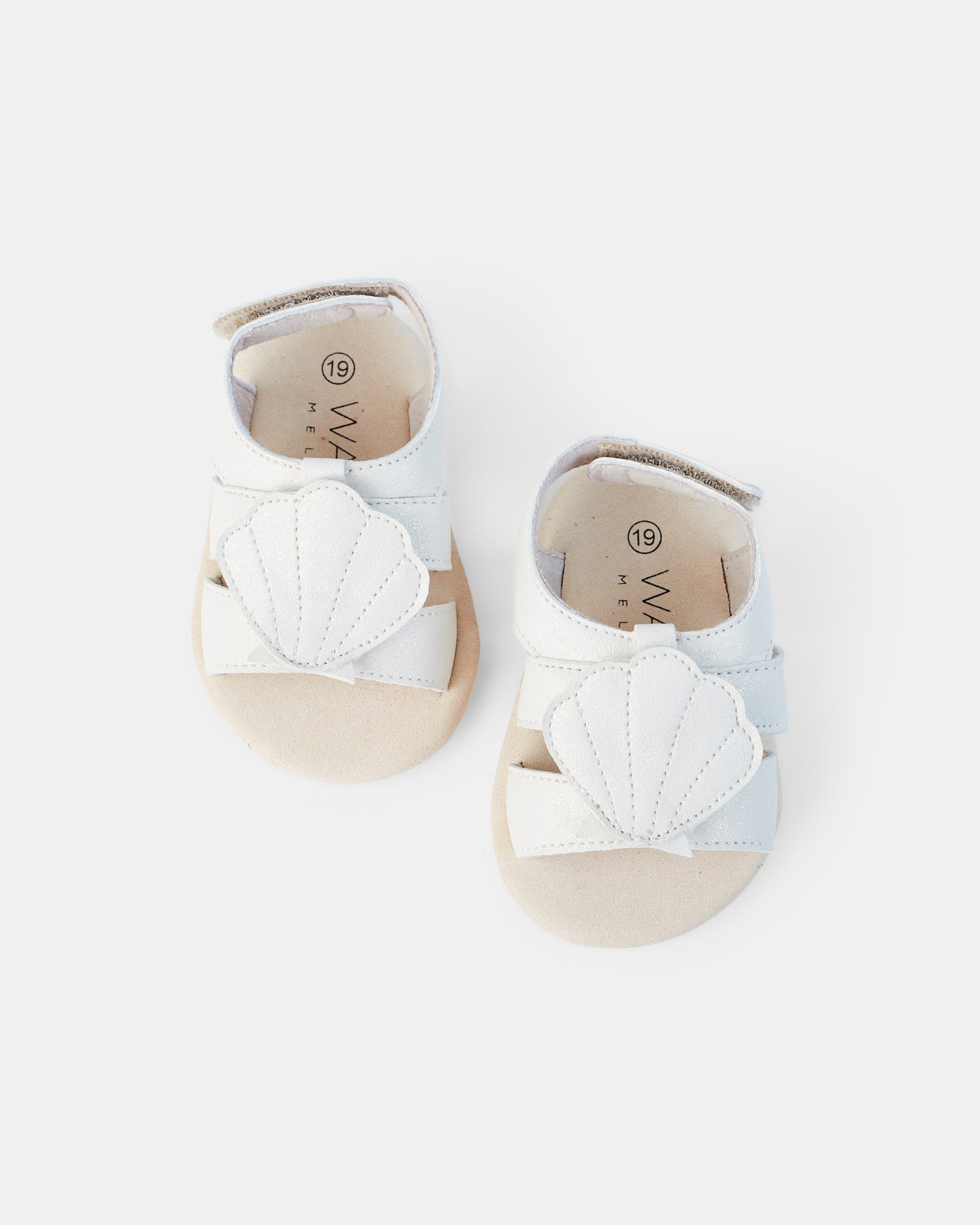 Baby — Walnut Melbourne